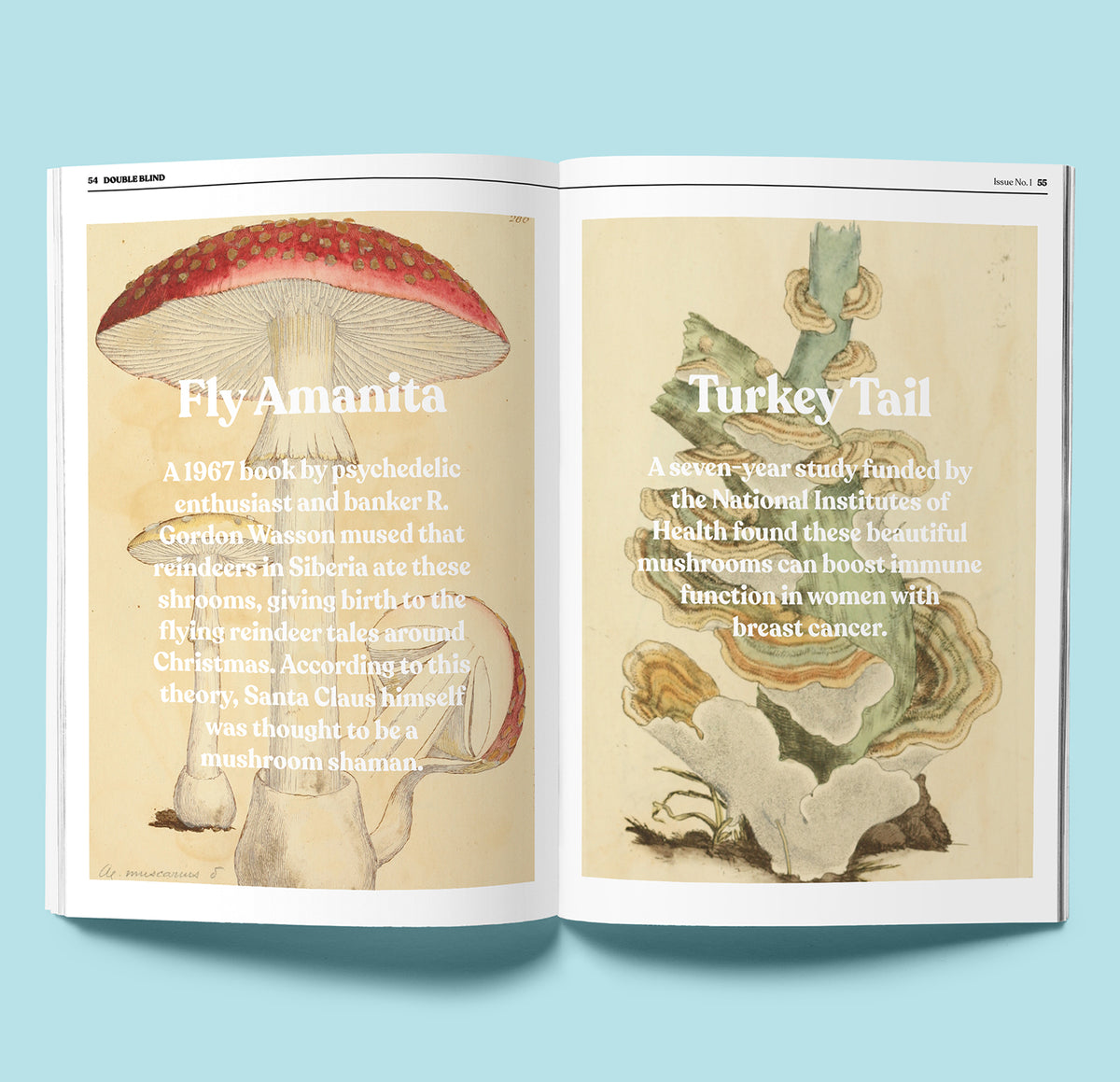 DoubleBlind Issue 1 – DoubleBlind Magazine